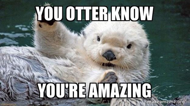 Youre Amazing Meme