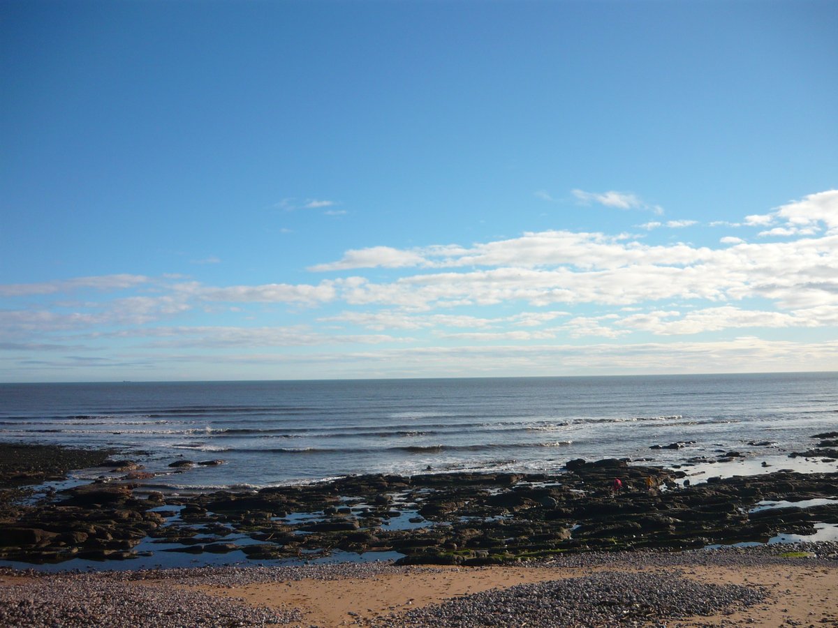 Angus and Dundee GeoSciences Society on Twitter : r/Paul_Ewing_GeoSci_Soc