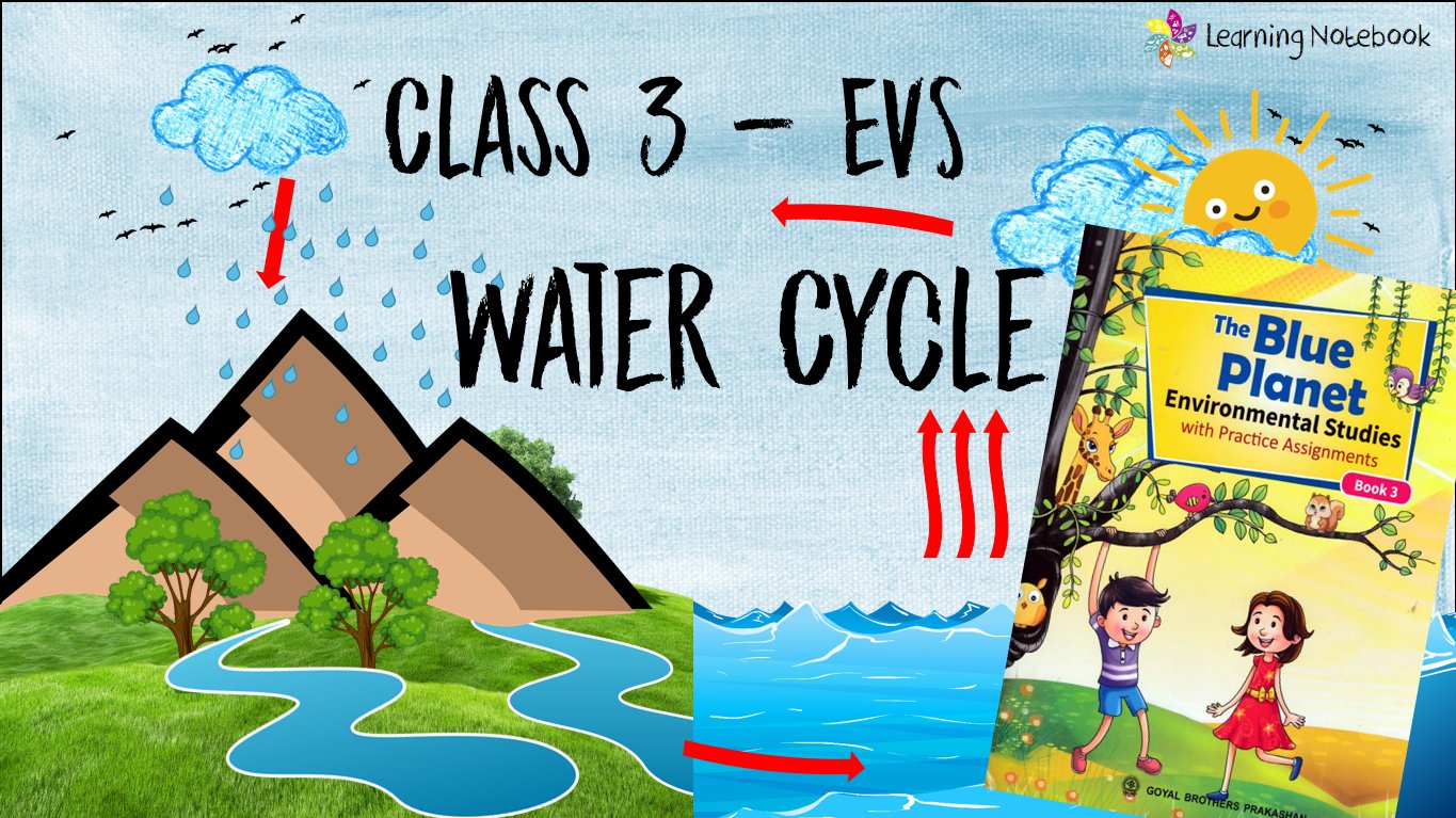 Examples Of Evaporation For Kids