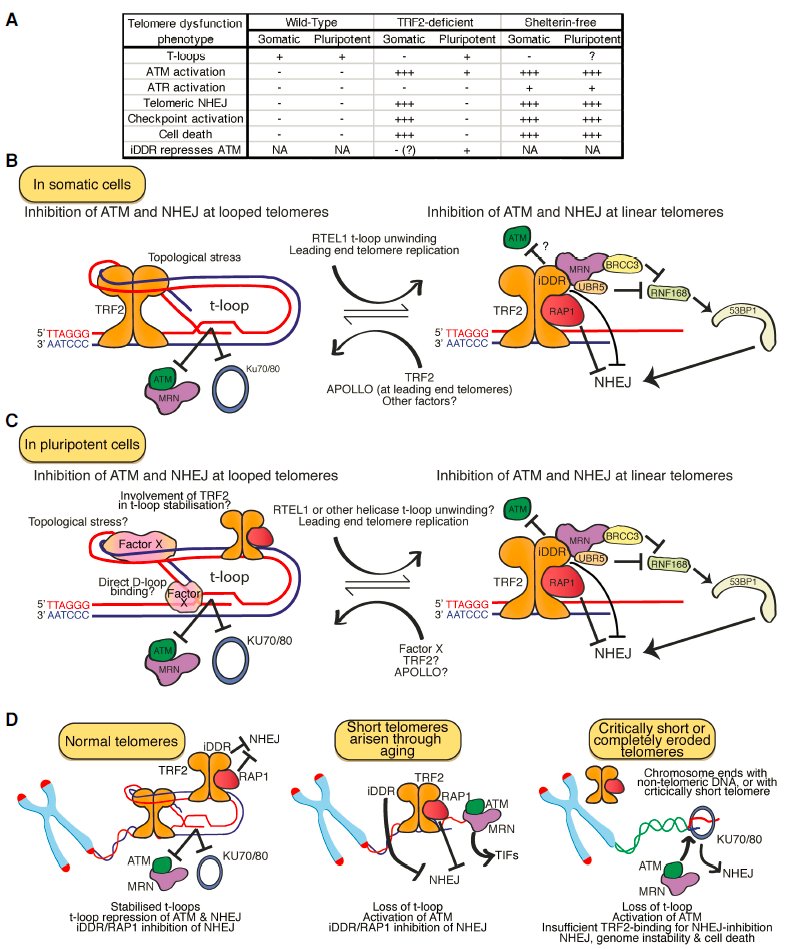 Free high quality journals and publishing platforms in the field of ...