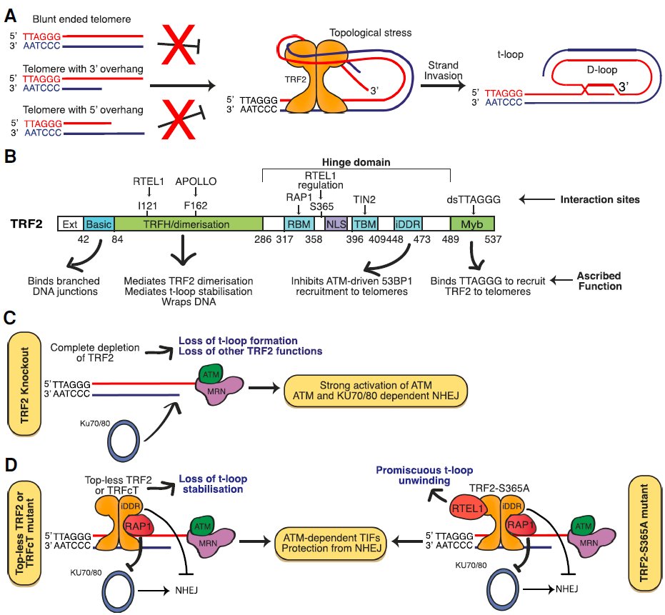 Free high quality journals and publishing platforms in the field of ...