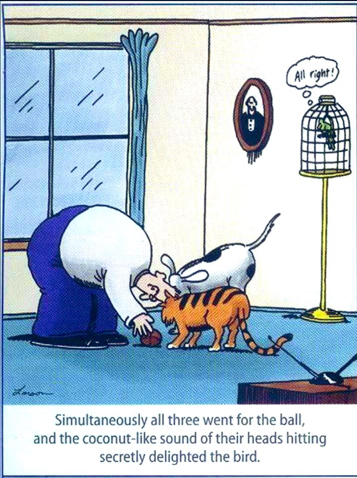 Gary Larson Far Side Christmas Cartoons