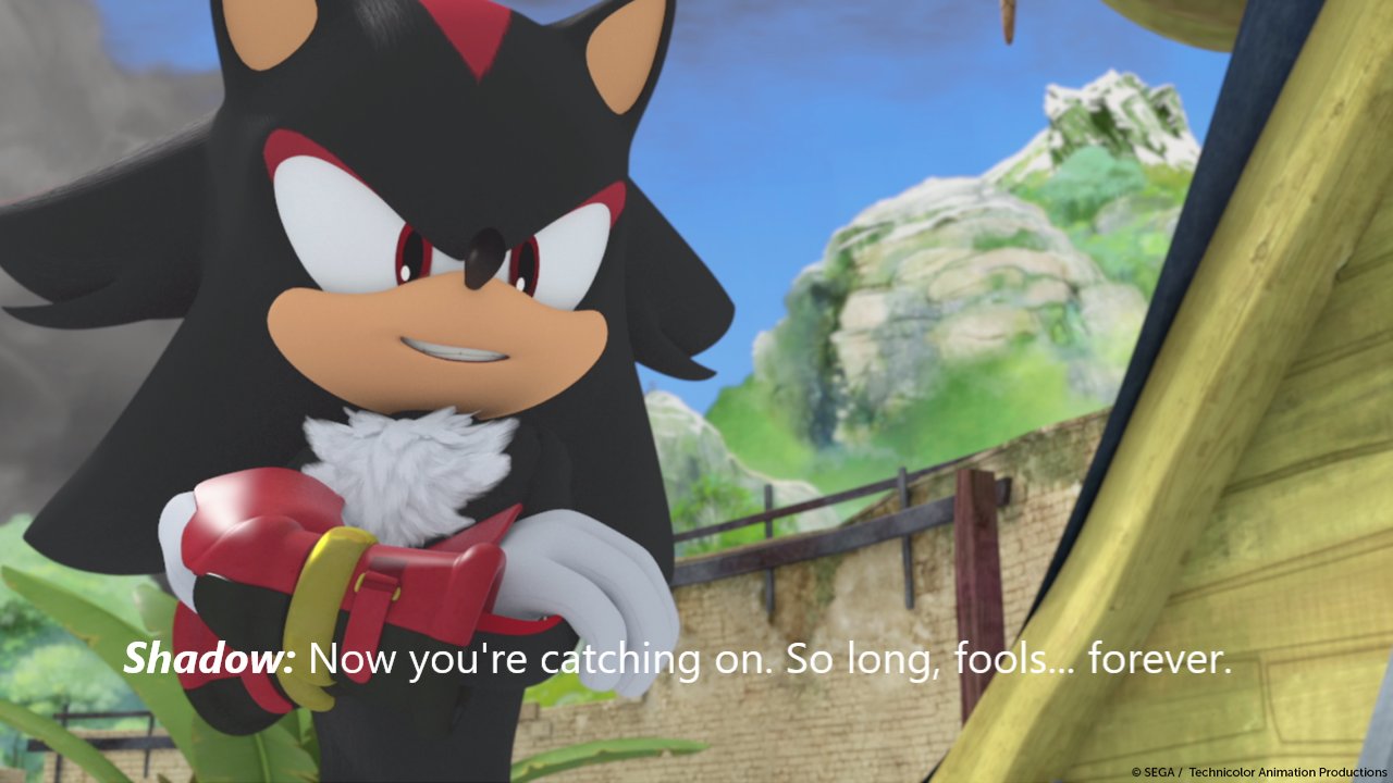 Shadow The Hedgehog And Rainbow Dash