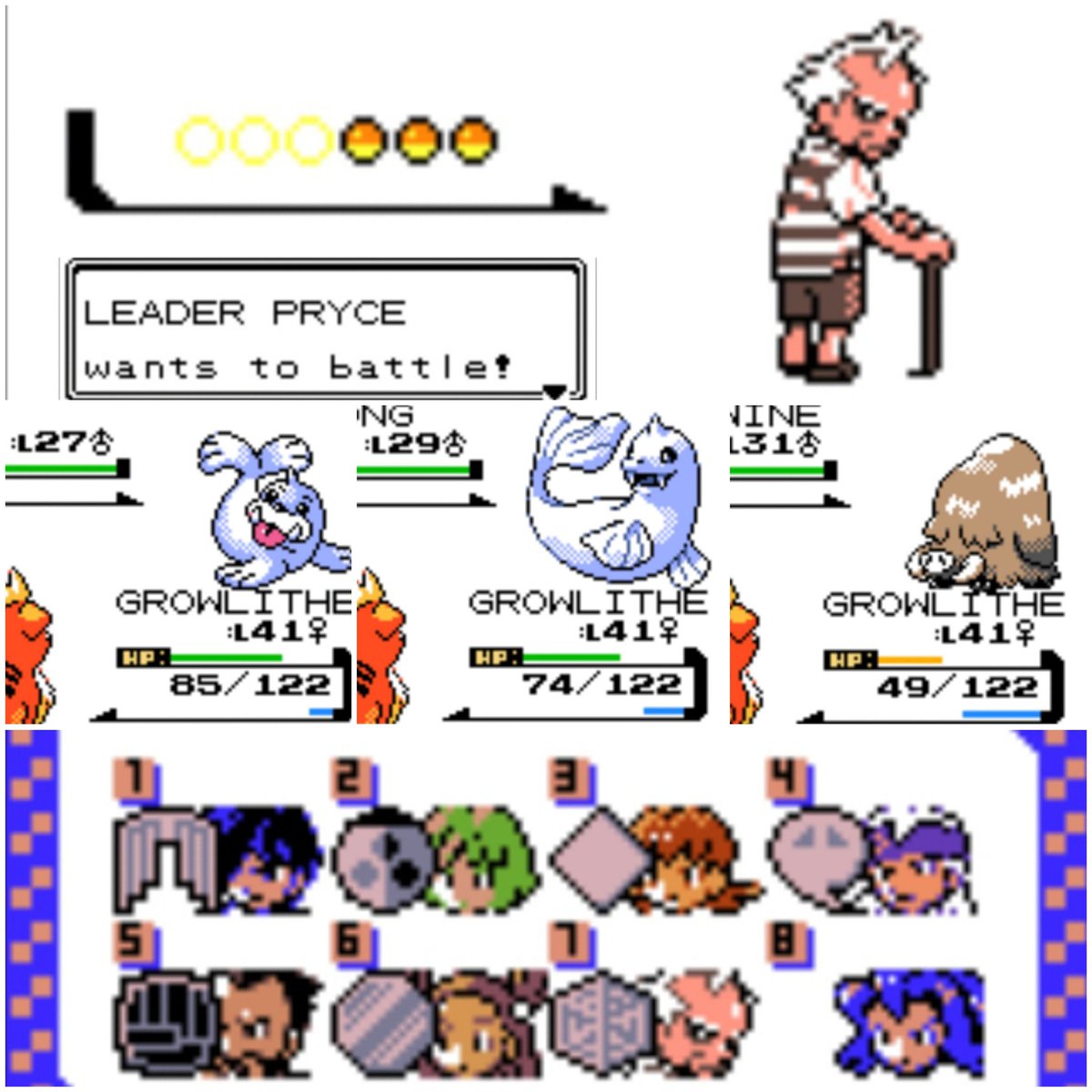 Pokemon Pryce