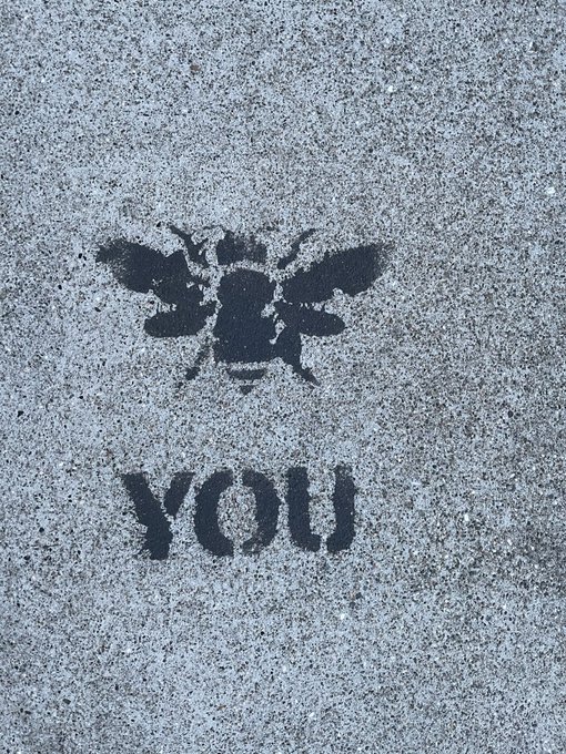 TW Pornstars - Bruce Falck. The most retweeted pictures and videos for ...