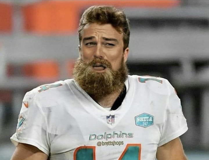 Ryan Fitzpatrick Memes