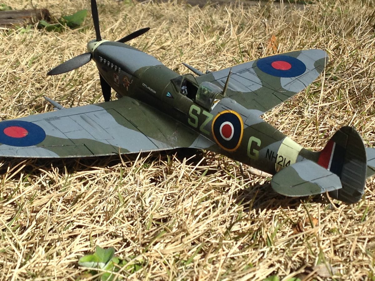 ぃもてん (@spitfish_) さんのモデル作品まとめ (8 件) - Twoucan