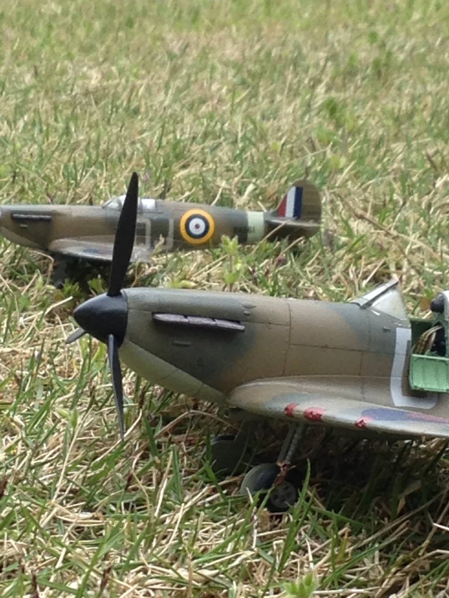 ぃもてん (@spitfish_) さんのモデル作品まとめ (8 件) - Twoucan