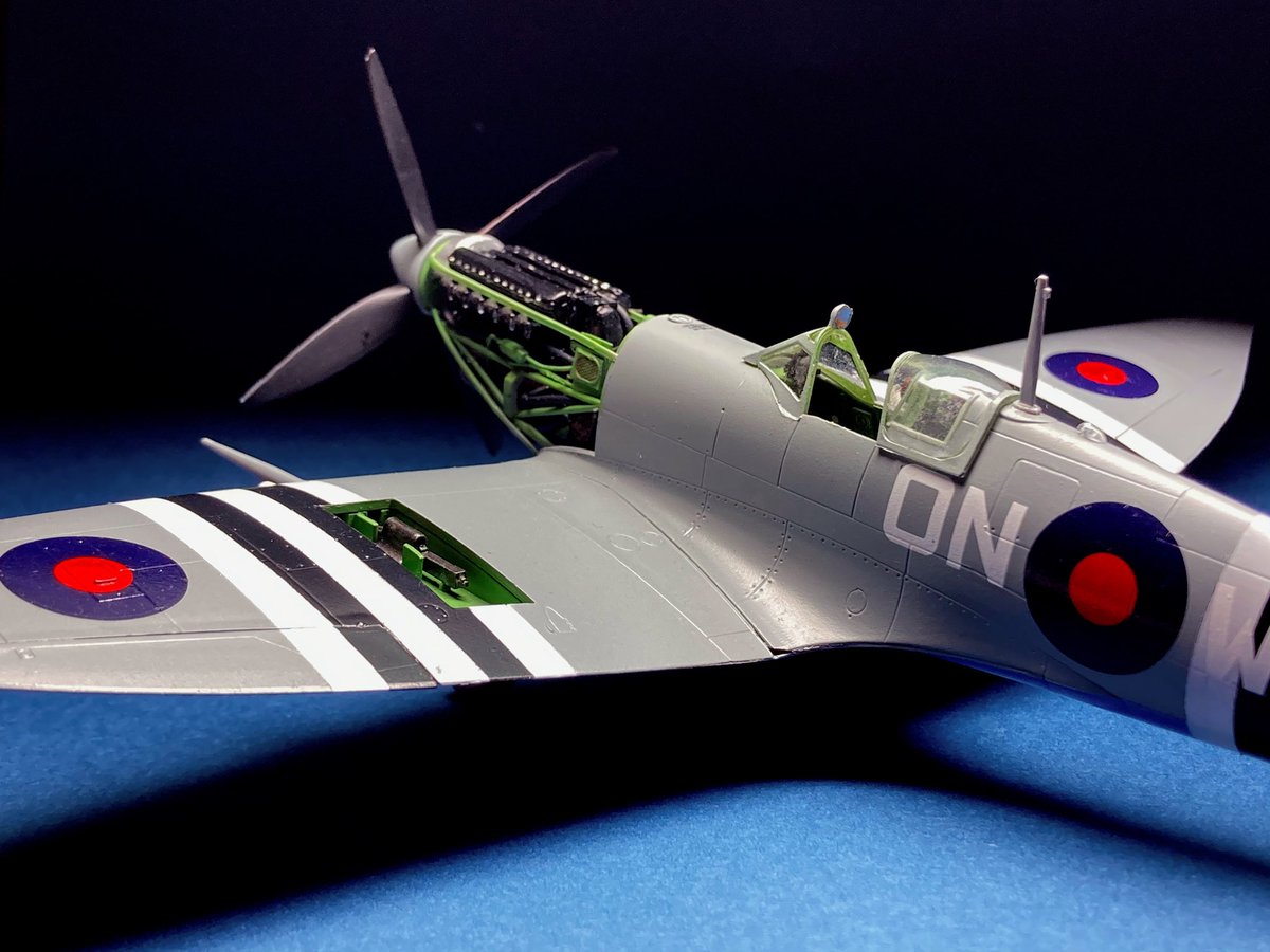 ぃもてん (@spitfish_) さんのモデル作品まとめ (8 件) - Twoucan