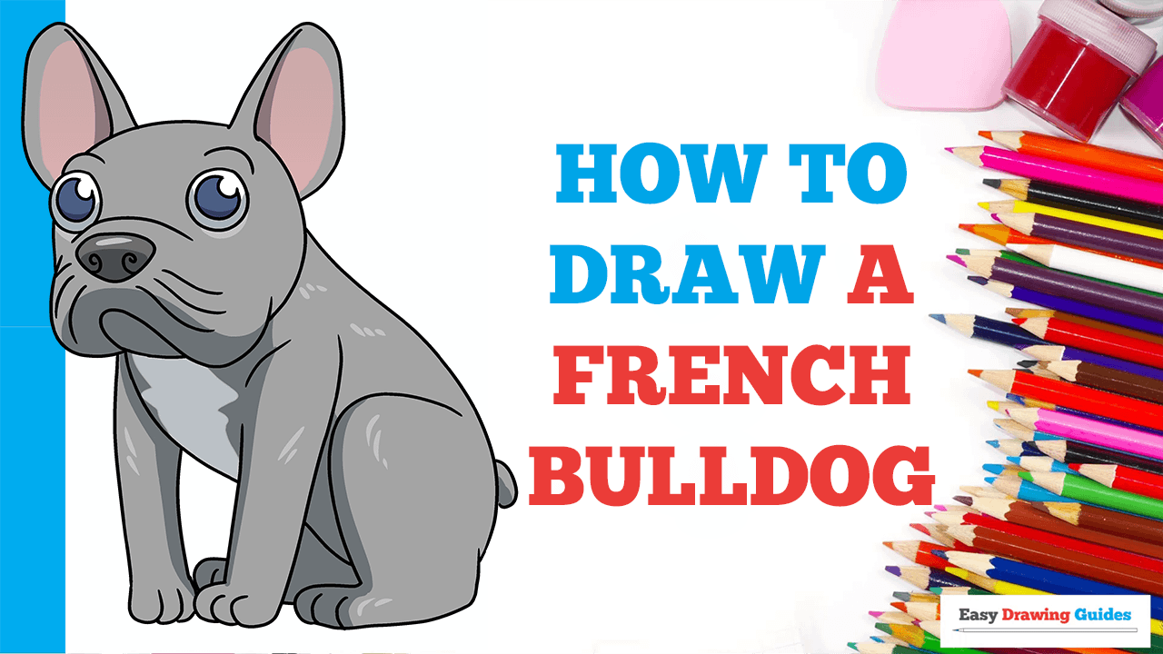 How To Draw A French Bulldog Step By Step