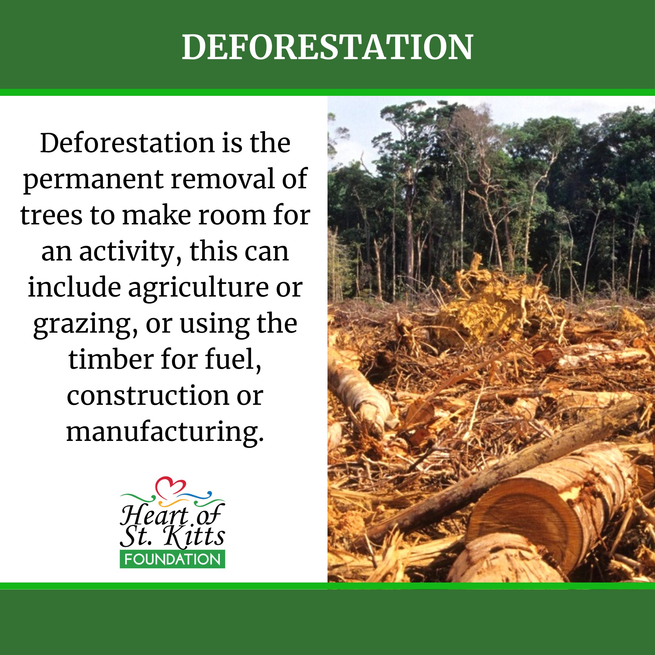 Deforestation Definition Deforestation Definition