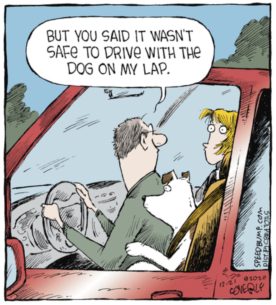 Funny Driving Safety Pictures