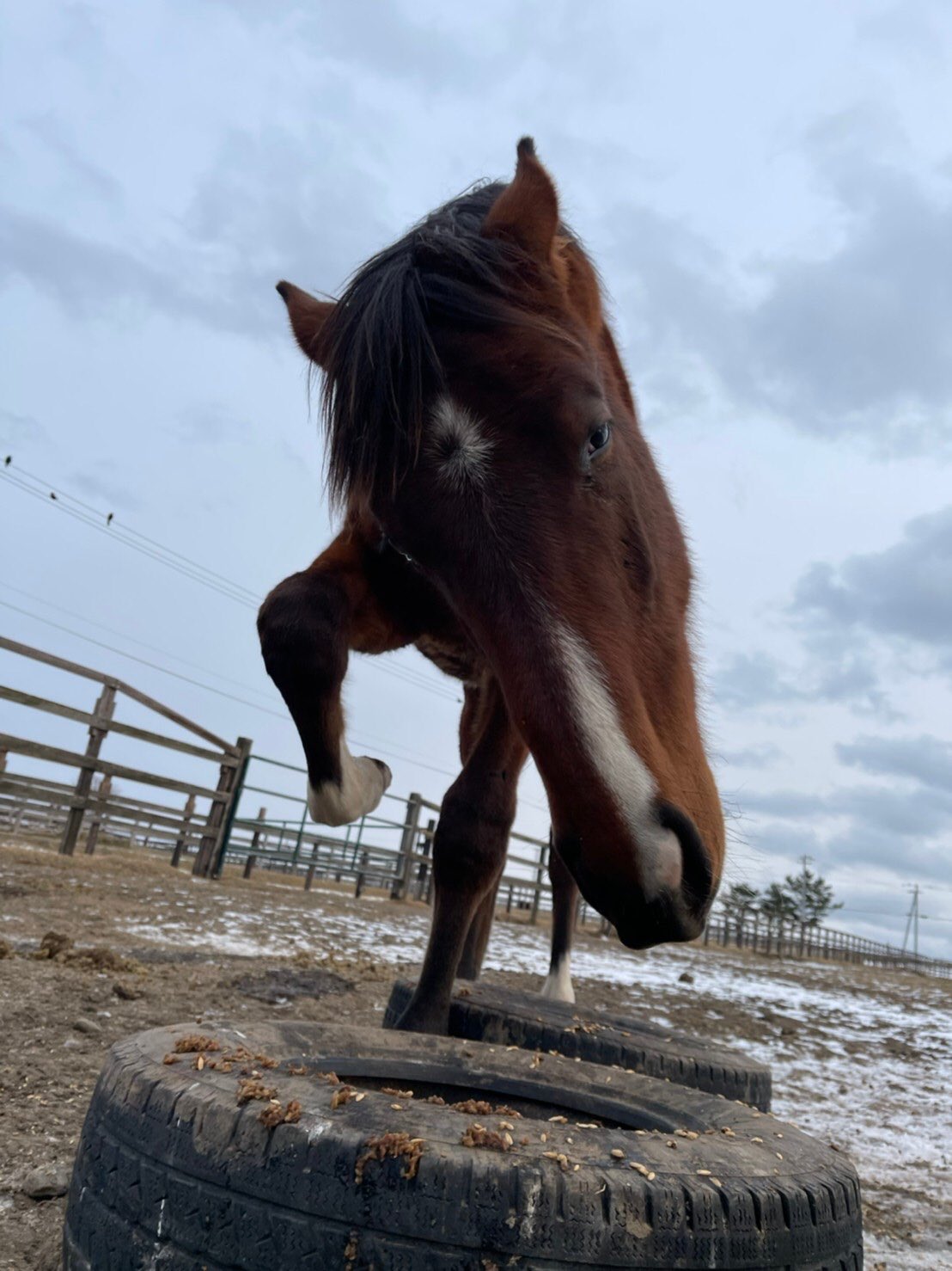 Ryosuke Fujisawa on Twitter: "既視感、、、 https://t.co/gCIGYlvlvv" / Twitter