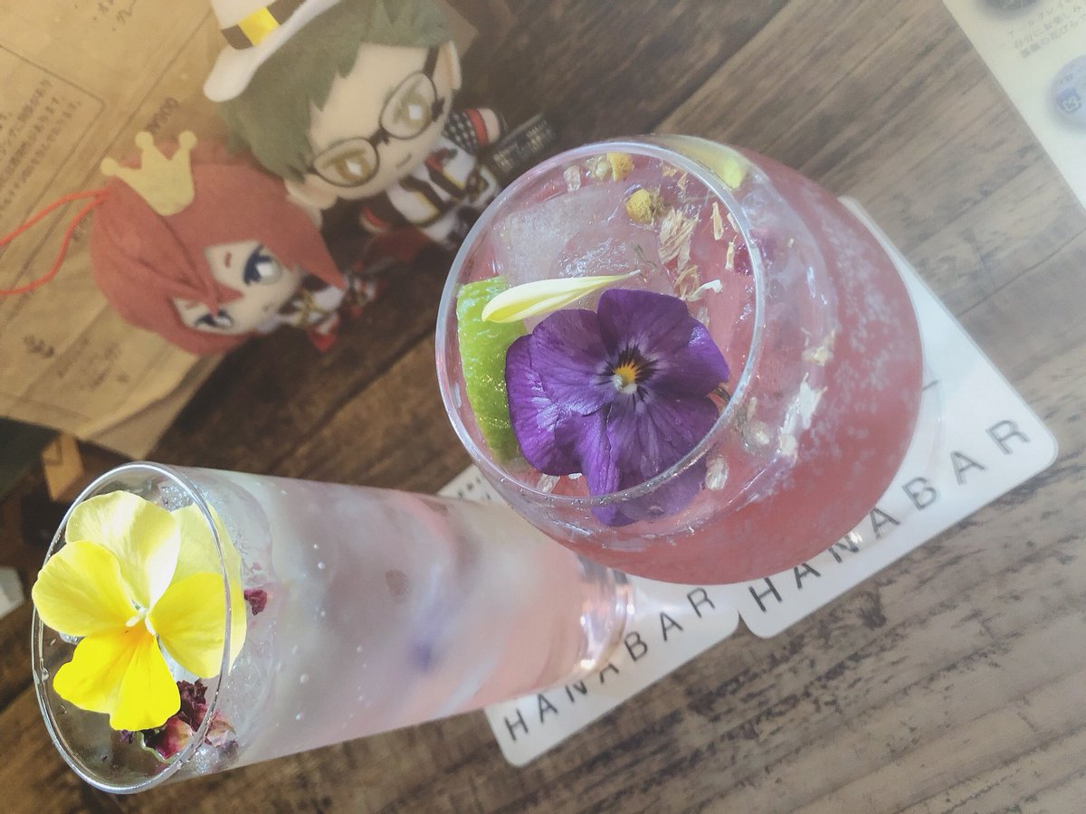 HANABAR | 日本最大級のSNS映え観光情報 スナップレイス