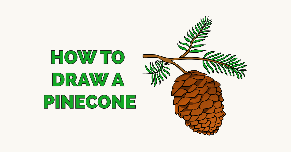 Easy Pine Cone Drawing