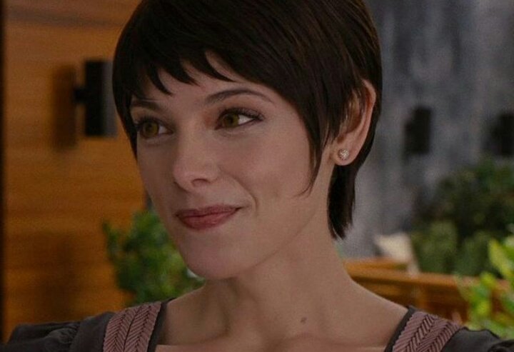 Alice Cullen Breaking Dawn Part 2 Fight