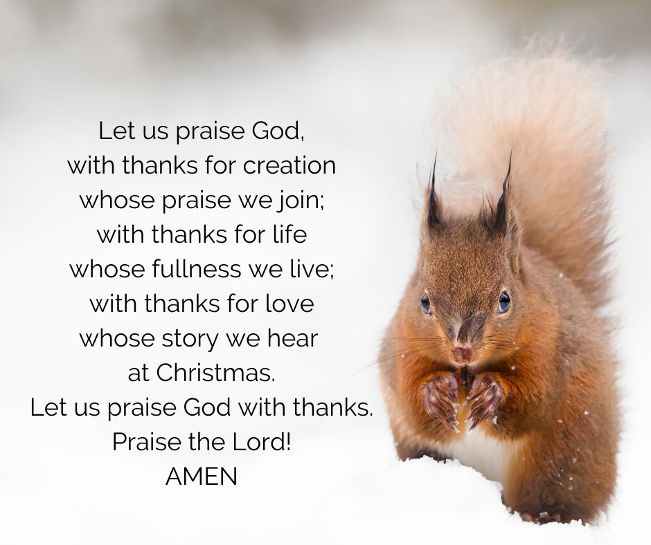 Praise The Lord Squirrel