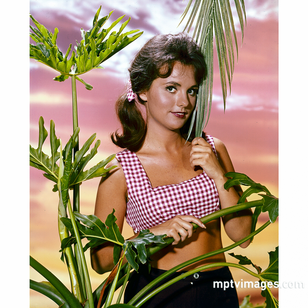 Mary Ann Gilligans Island Shorts