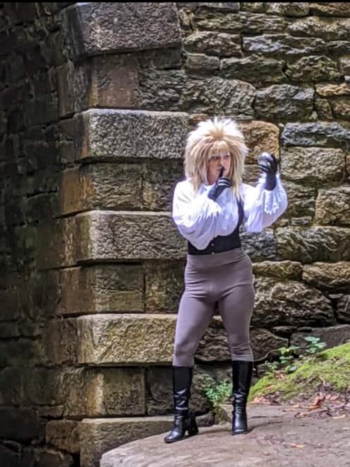 David Bowie Labyrinth Pants