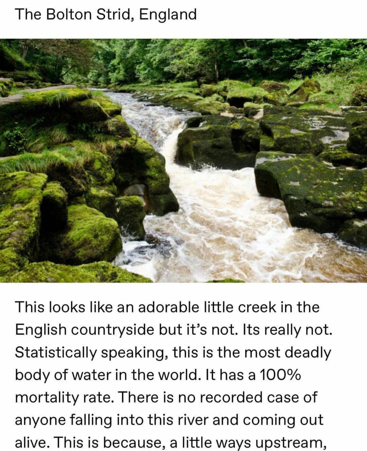 The Bolton Strid Depth