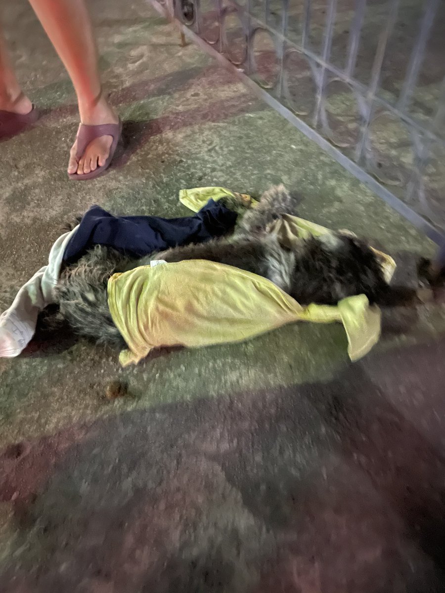 Nutsuda Setthakorn (@NSetthakorn) | Twitter