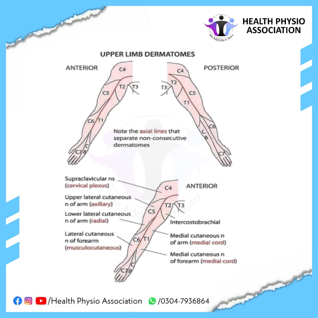 Dermatomes Upper Limb