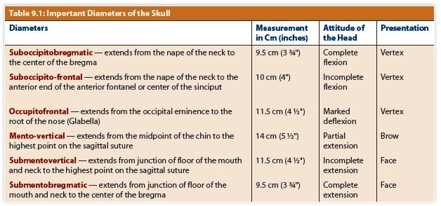 Brow Presentation Diameter