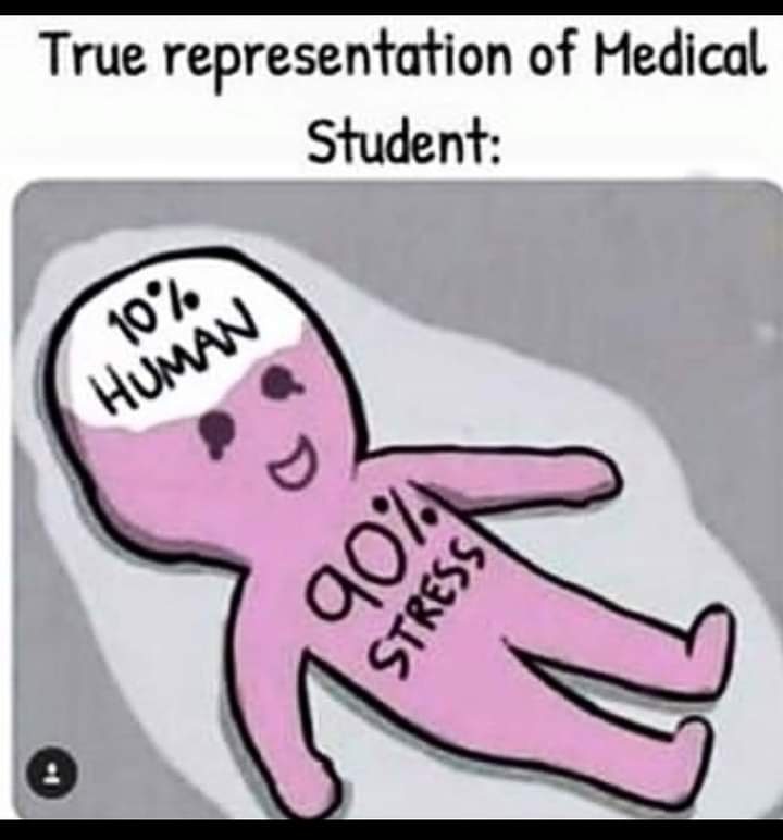 Stressed Student Meme