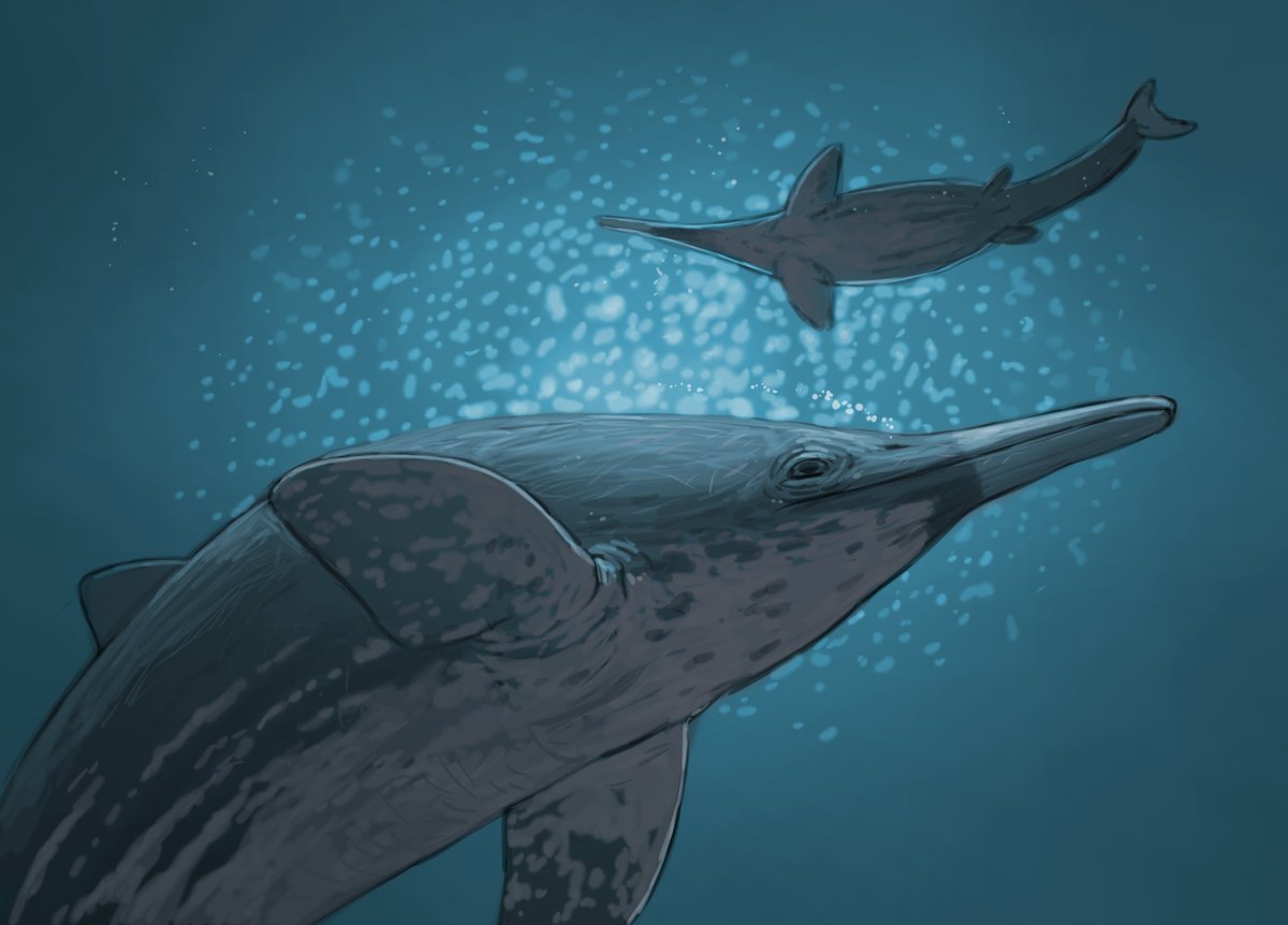 Twoucan - Joschua Knüppe (@JoschuaKnuppe)