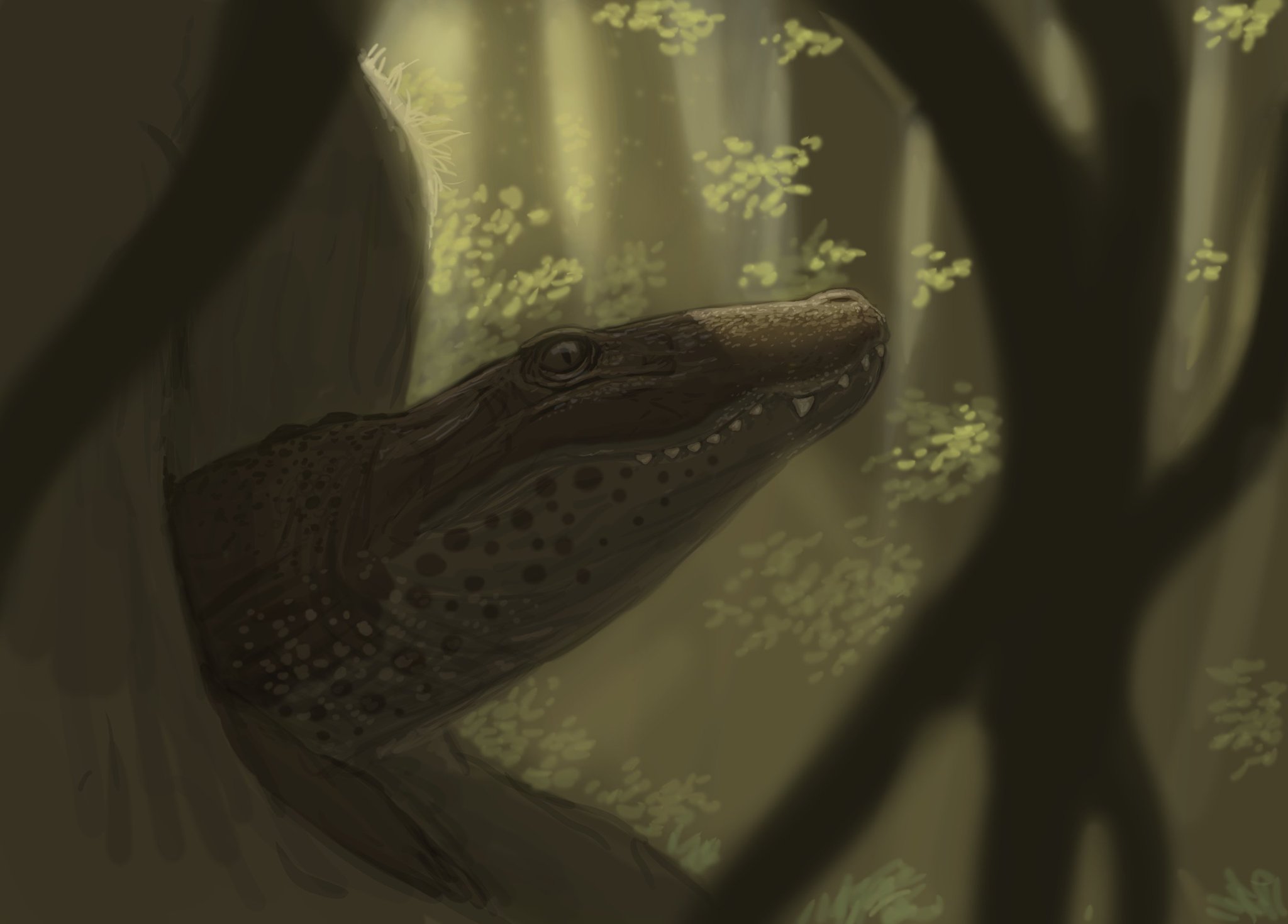 Megalapteryx Dinosaur