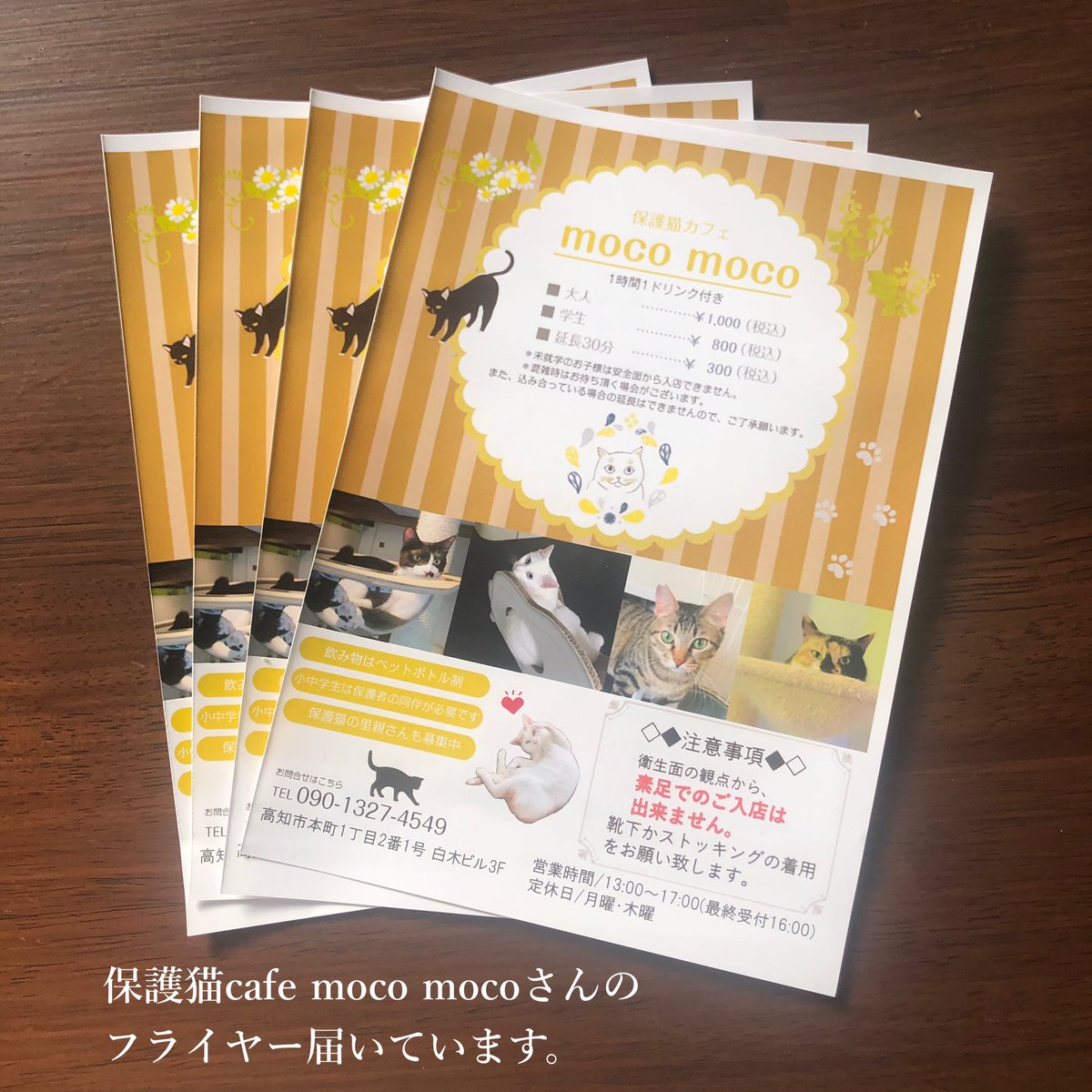 MOCO MOCO cafe | 日本最大級のSNS映え観光情報 スナップレイス