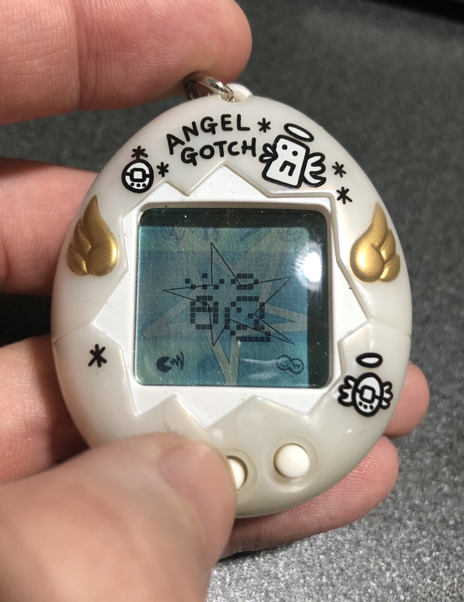 ひえたかんこーひー on X: ひえたかんこーひー on X: