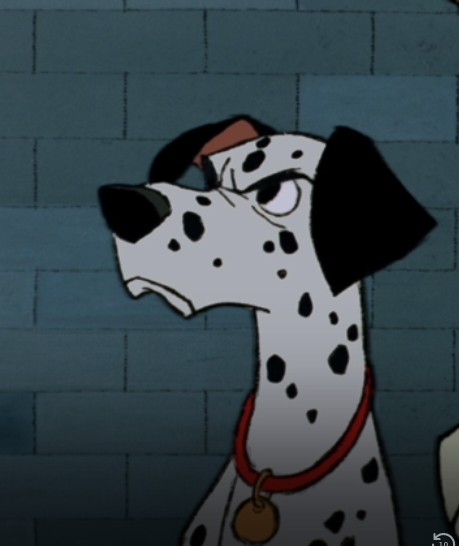 Twoucan - Kitchiki (@Kitchiki)