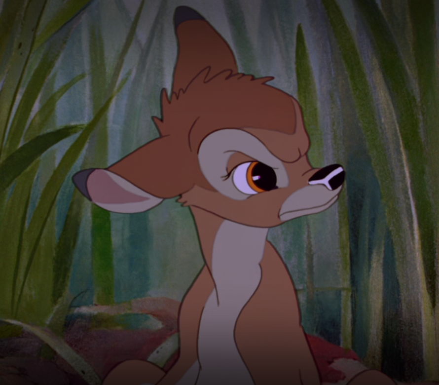 Twoucan - Kitchiki (@Kitchiki)