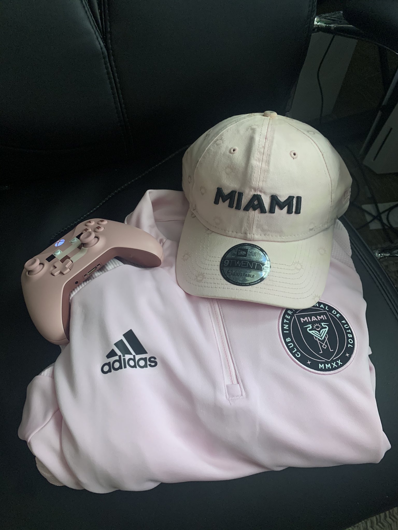 Doctor Who Minecraft Pig