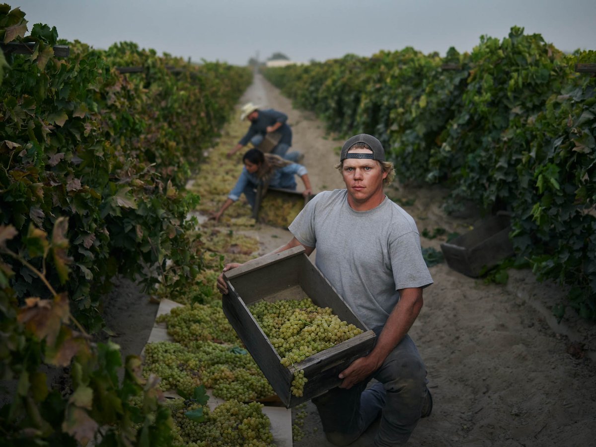 Thread by @joeyldotcom on Thread Reader App – Thread Reader App