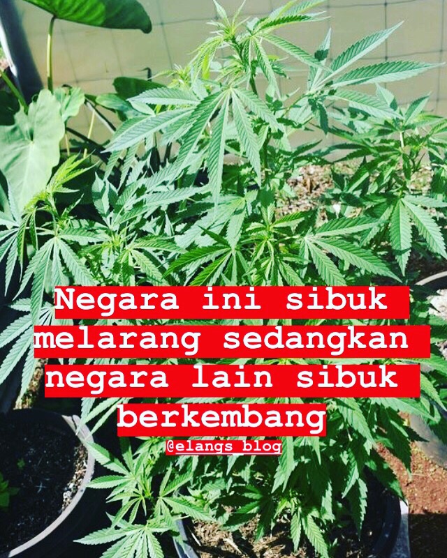 Raden Mas Aryo Temangsang (@MasTemangsang) | Twitter