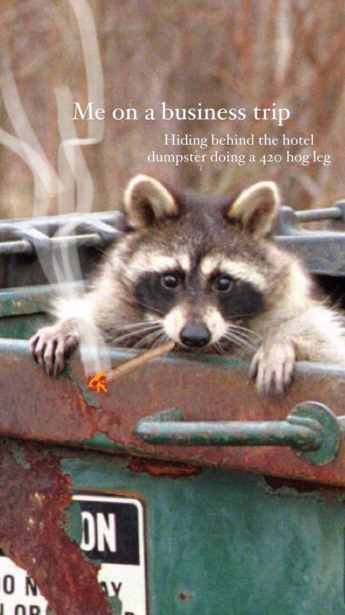 KB (@Cereal_boxhead) | Twitter