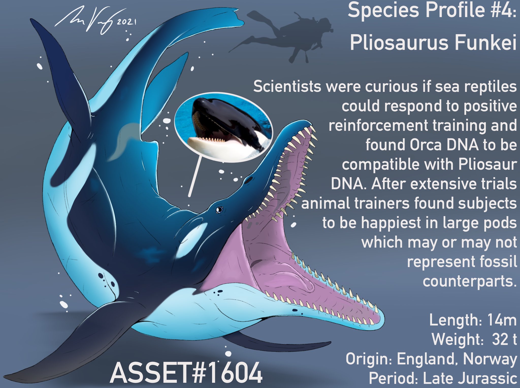 Orcas Prehistóricas Ballenas Prehistóricas Tenían Dientes
