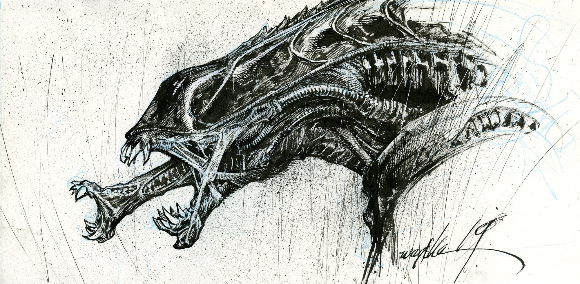 Xenomorph Drawing