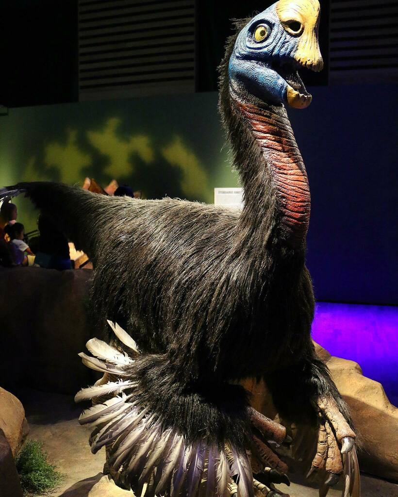 Citipati Dinosaur