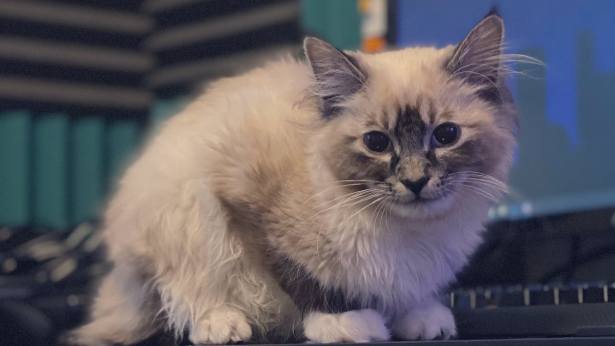 ItsFunneh @ItsFunneh Timeline, The Visualized Twitter (Analytics)