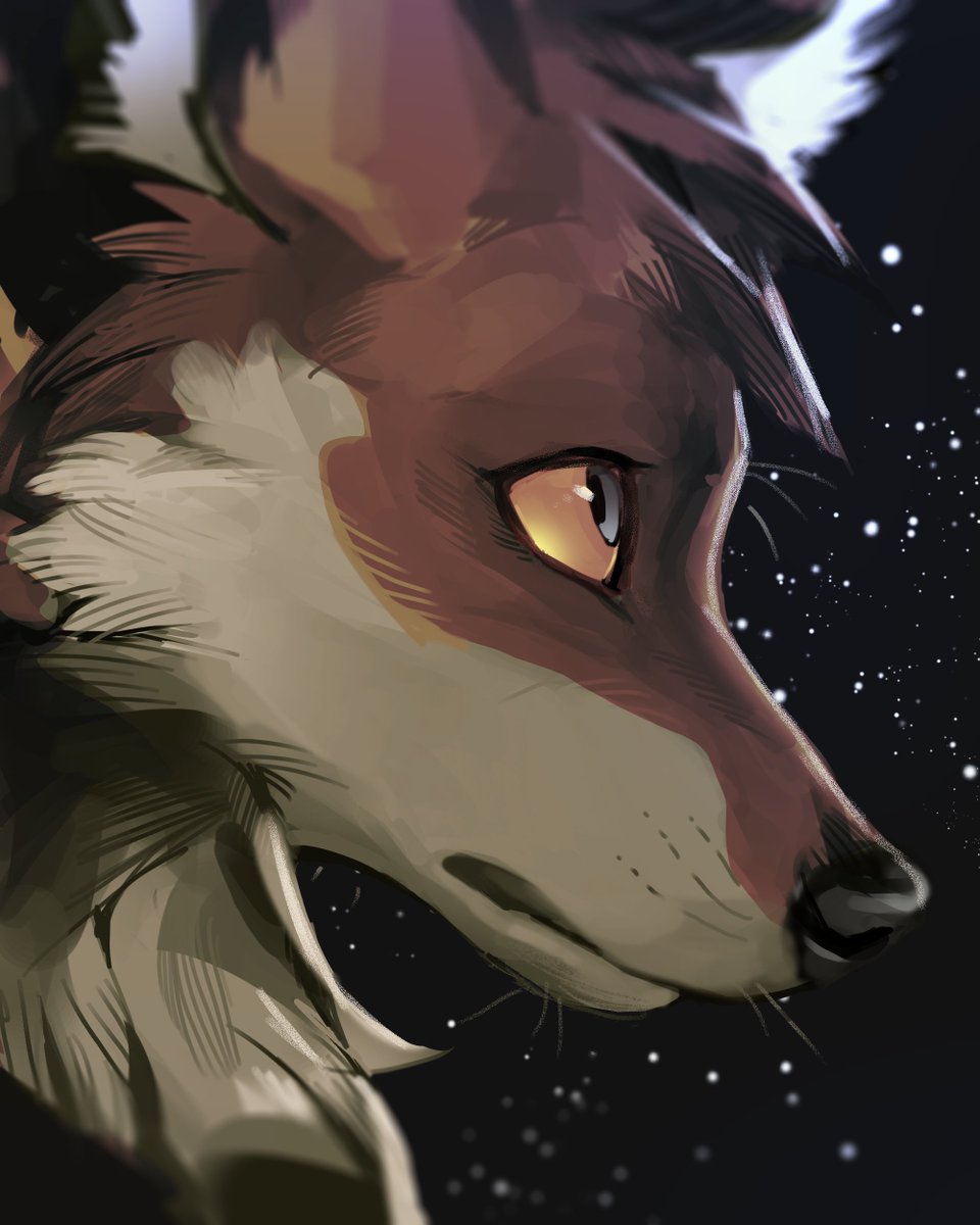 wintomさんの人気ツイート（古い順） - ついふぁん！