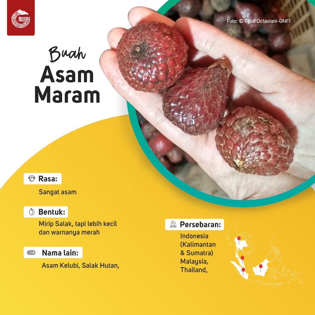 Buah Asam Paya