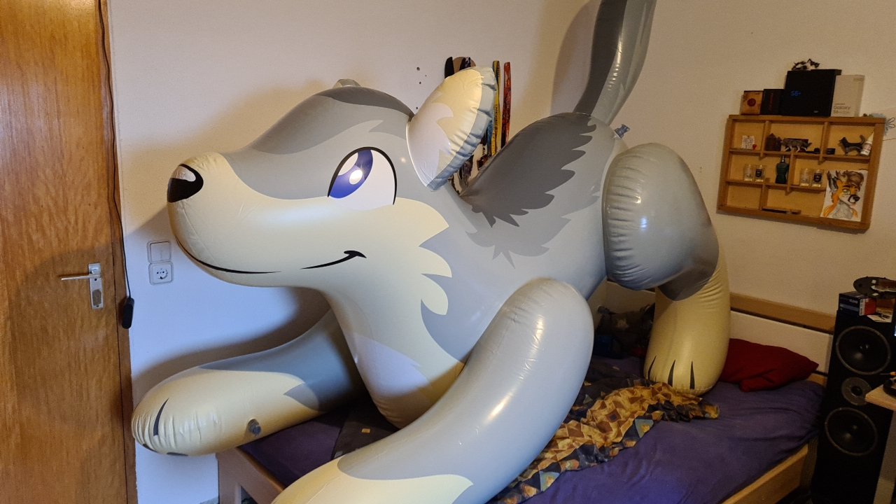 Kiba Wolf (@KibaWuff) / Twitter