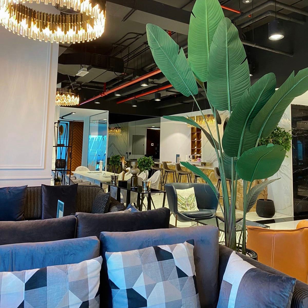 Berkeley Rowe (@BerkeleyRowe) | Twitter