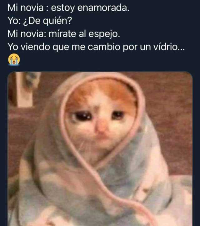 Los Novios Son Como Memes Frases De Amor Cortas Bodas.com.mx