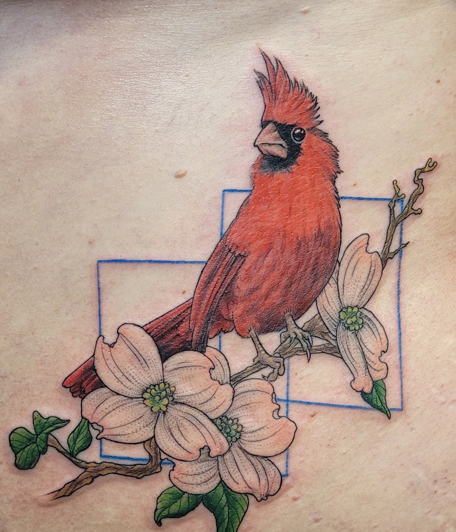 Cardinal Dogwood Tattoos Minimalist Cardinal Bird Temporary Tattoo
