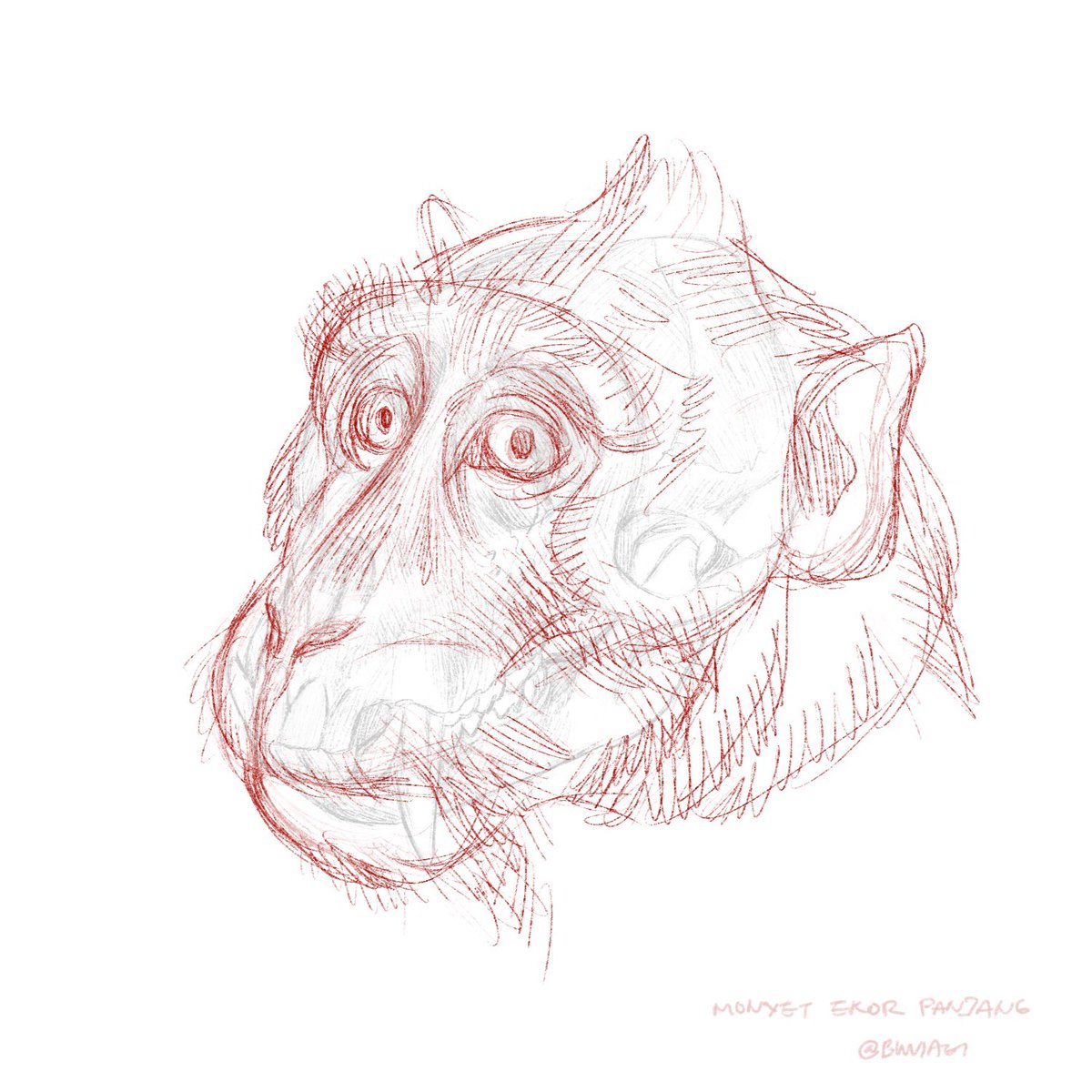 Twoucan - RIKA (@bwusagi)