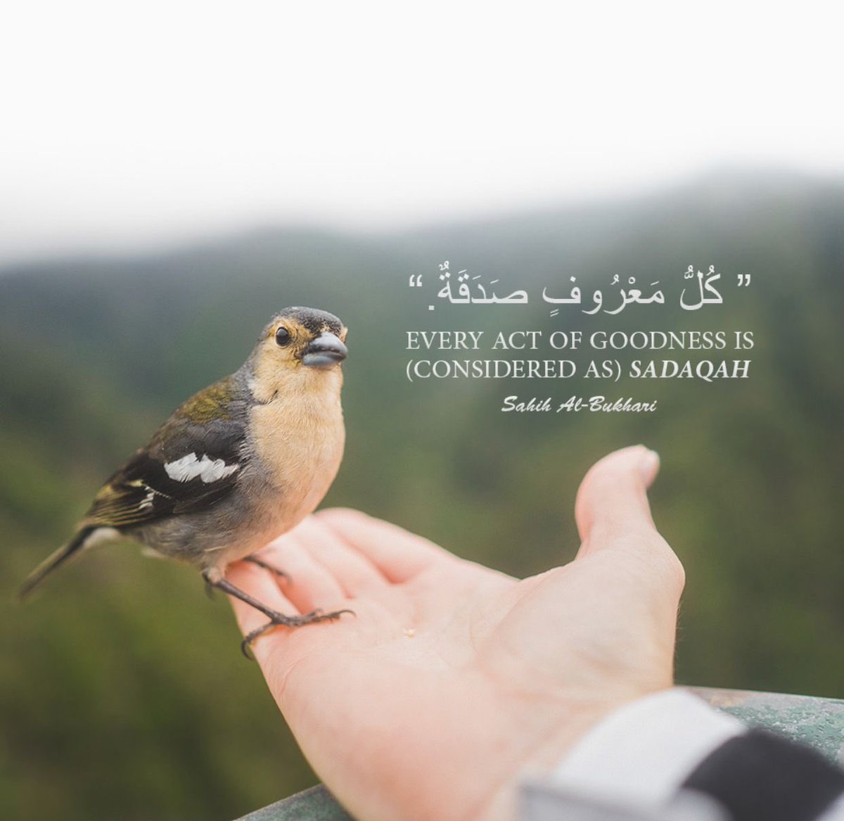 Islamic Sadaqah Quotes Quote Design Version 28 Decal – The Islamic